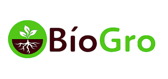 Hebe - Healing better